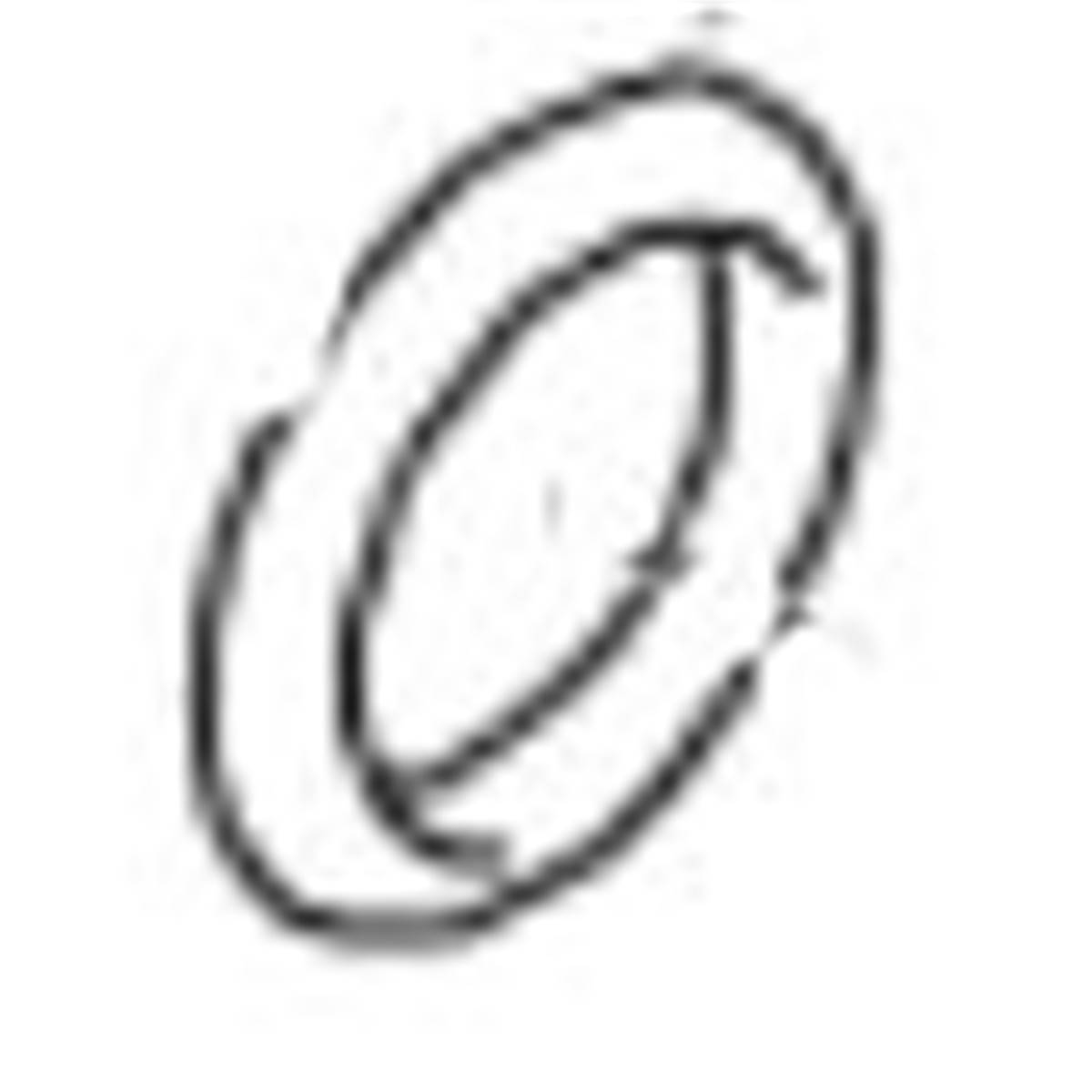 O-RING | P/N: 9681501304 | ROTORPLACE